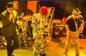 Top UK Madness Tribute Band - Mainly Madness